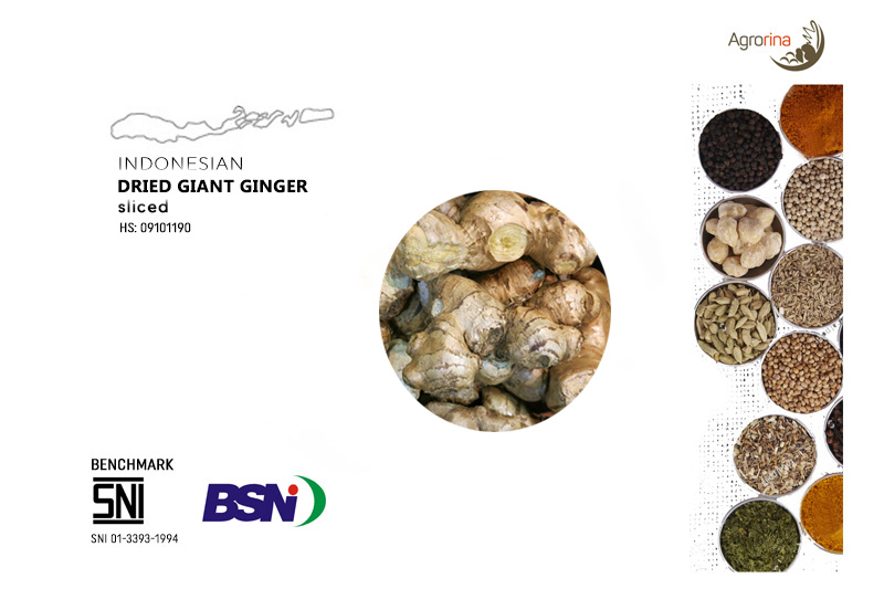 Giant Ginger